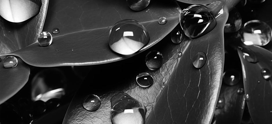 INKY Ingredients - Natural Ingredients for your formulations | INKY ...