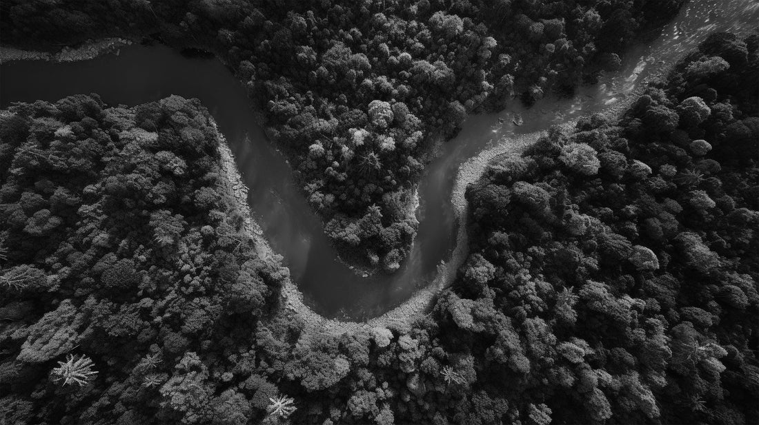 Lavender Water (Hydrolat) | INKY Ingredients