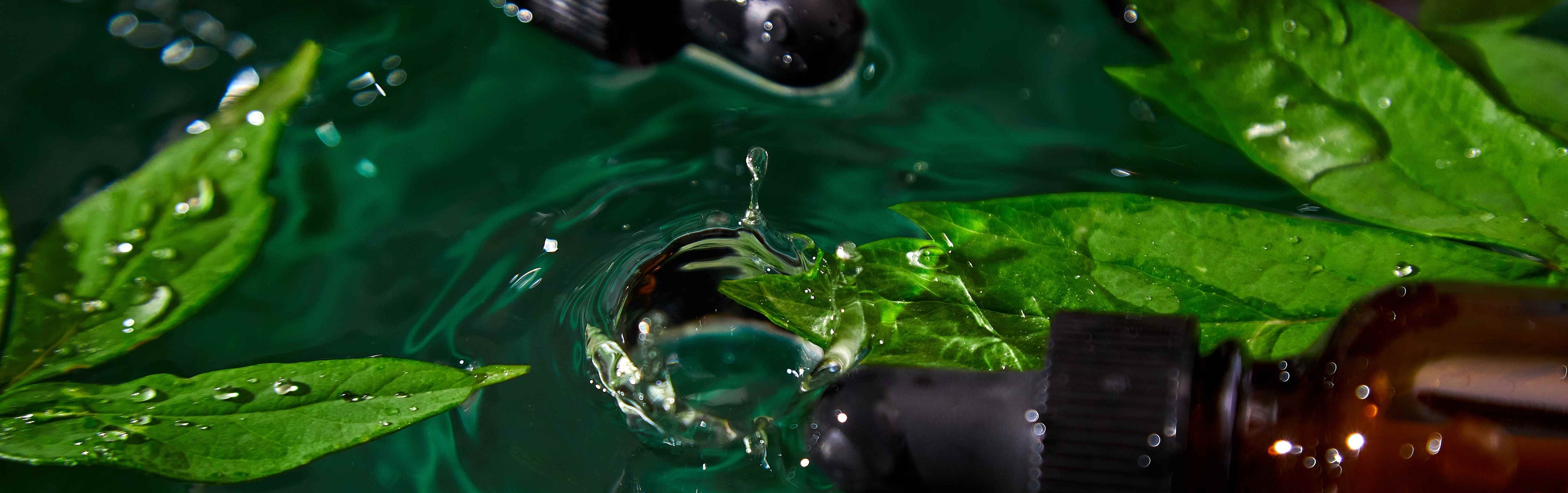 INKY Ingredients - Natural Ingredients for your formulations | INKY ...