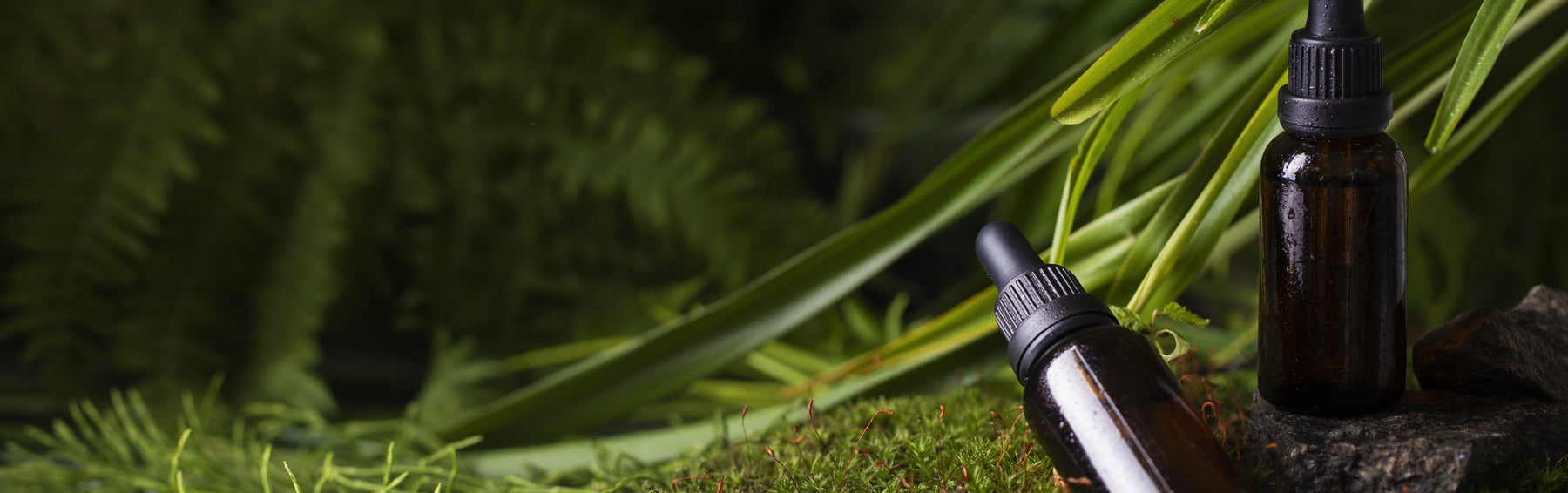 INKY Ingredients - Natural Ingredients for your formulations | INKY ...